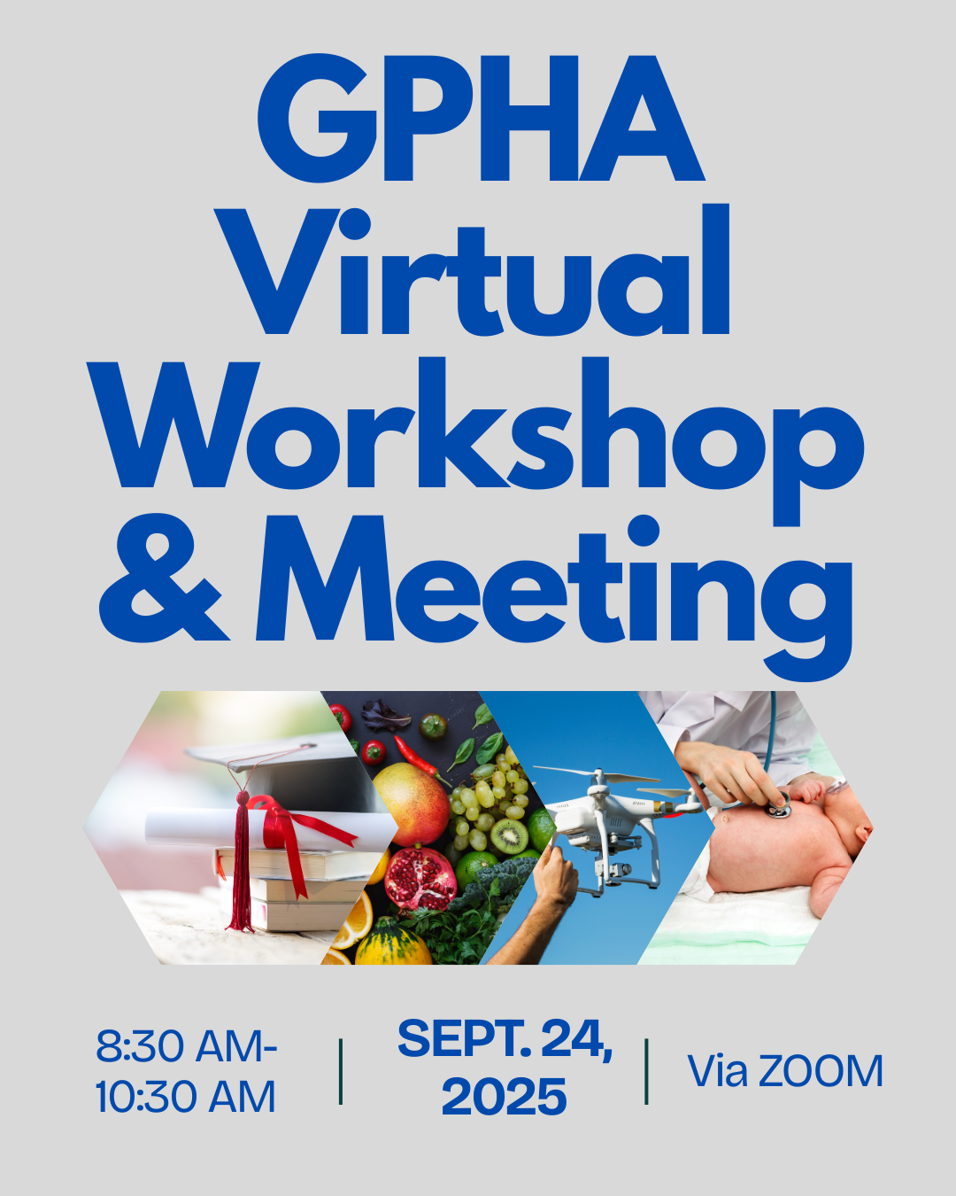 Update: GPHA Virtual Workshop & Meeting is FULL - GPHA: Georgia Public ...